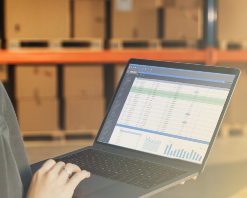 Tips on Leveraging Software for Seasonal Inventory Management - Ideal ...